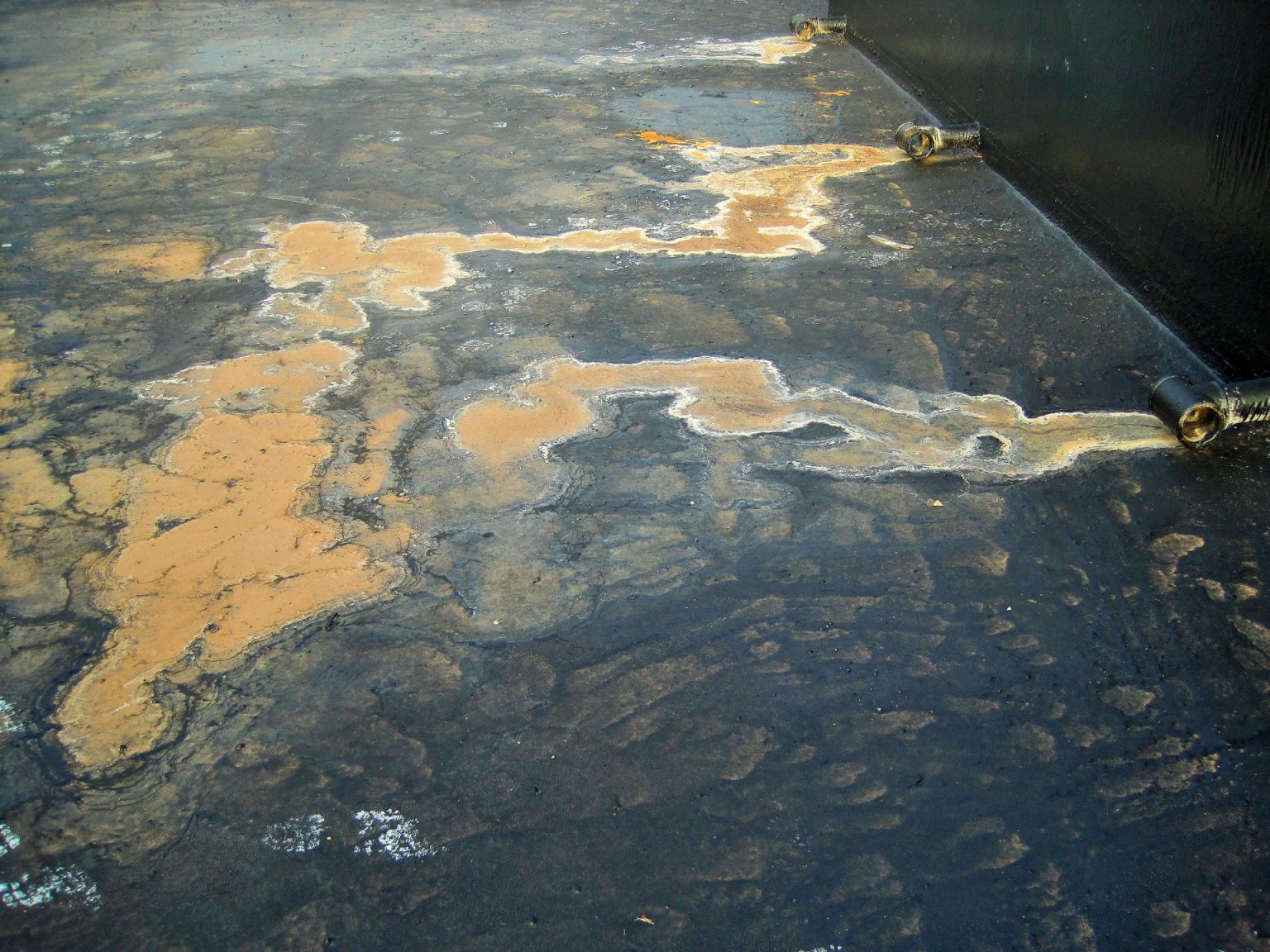 Ohio River Bottom Sludge Cake